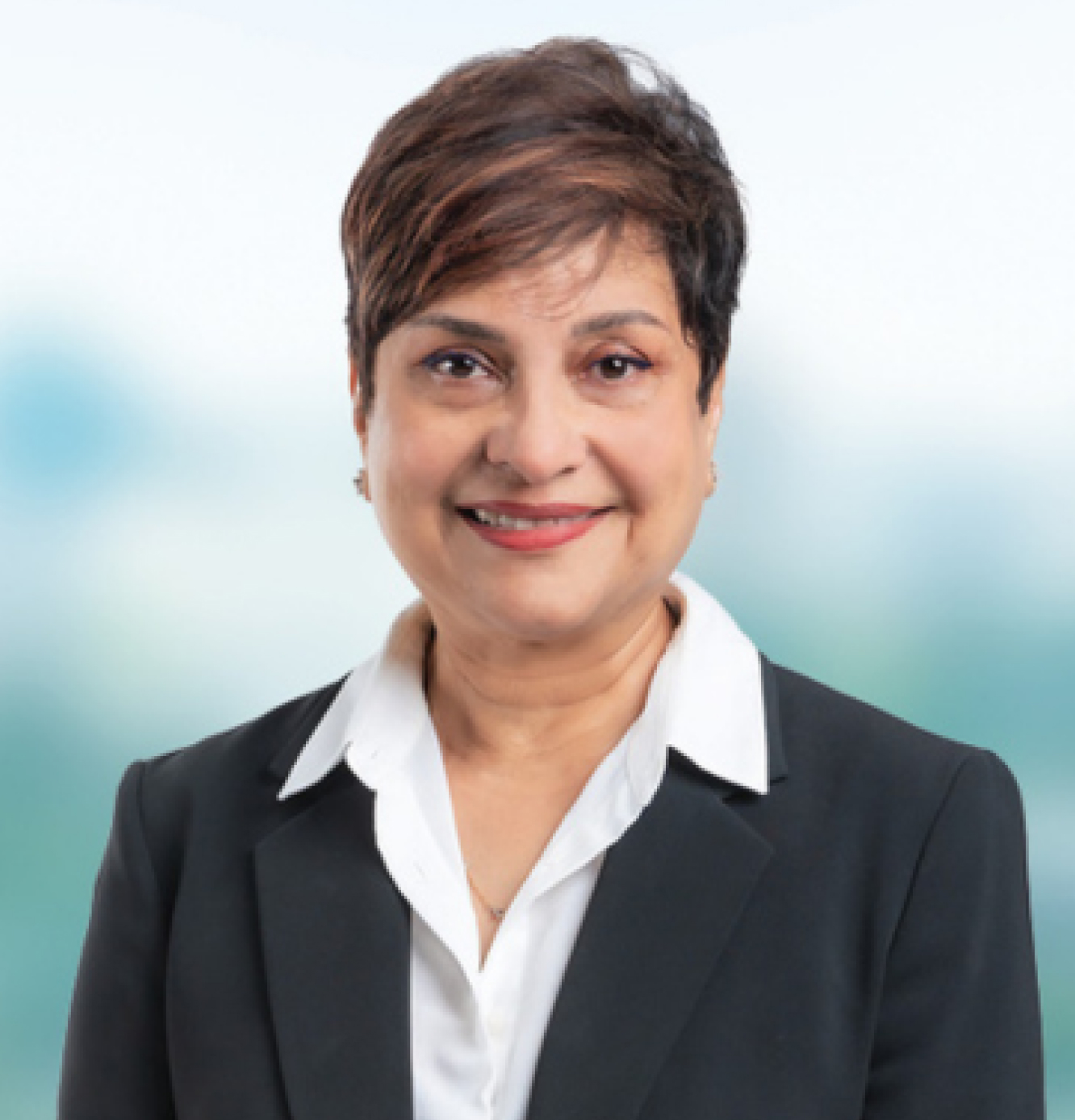 Sime Leadership Team | Board of Directors Overview