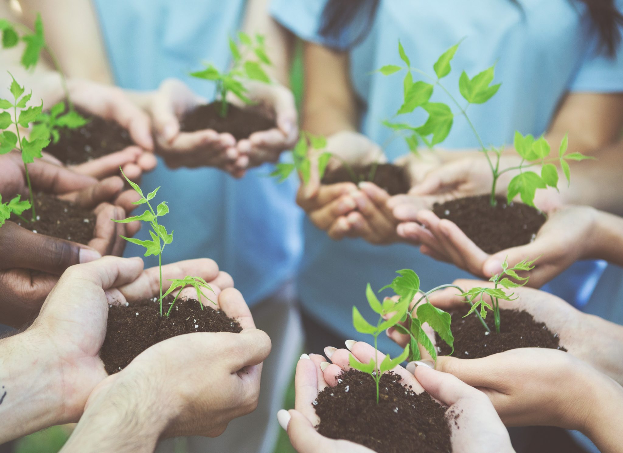Sustainability Blueprint Sime